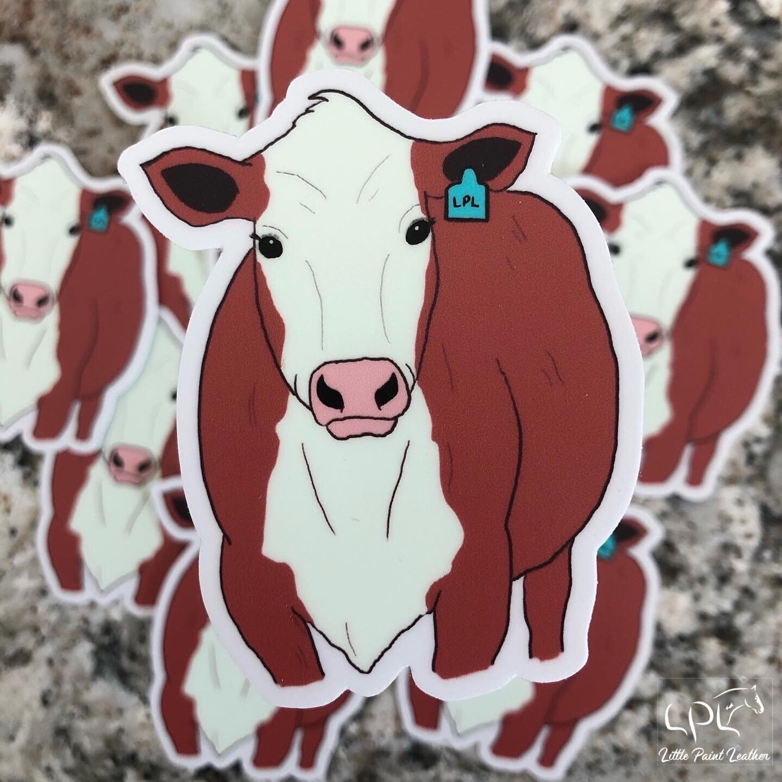 Hereford Cow Sticker Vinyl Decal Cute Red and White Cow Steer | Etsy