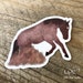 Boss Mare Sticker Vinyl Decal Horse Sticker Horse Decal Equestrian ...
