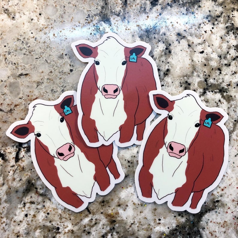 Hereford Cow Sticker Vinyl Decal Cute Red and White Cow Steer - Etsy