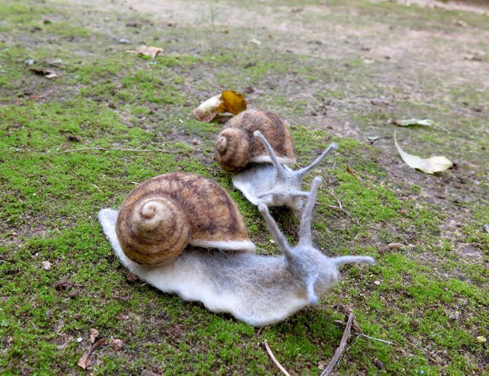 Needle Felted Snail Real Size Snail Season Table Snails - Etsy