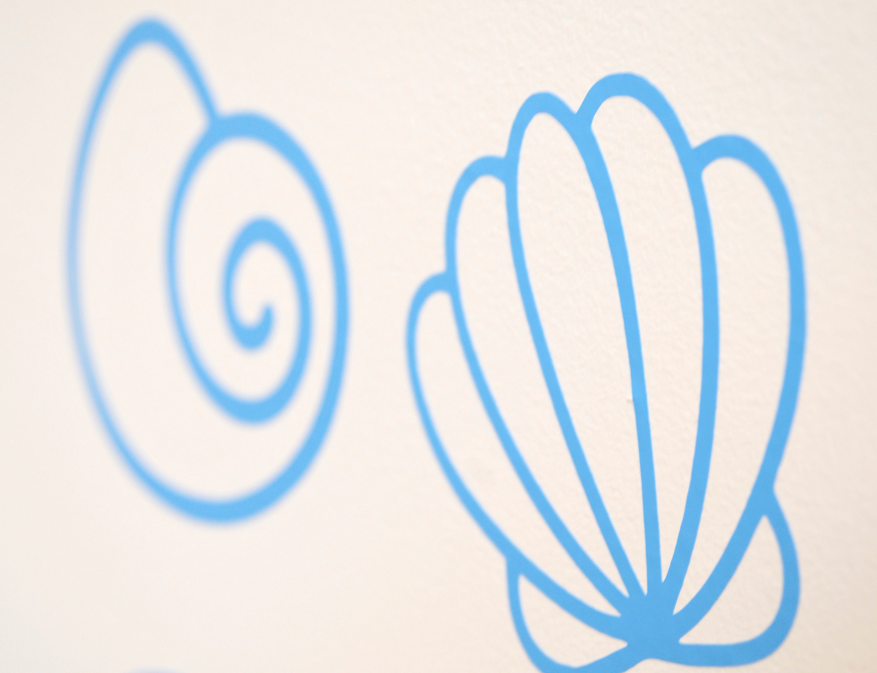 Shell / Seashell Wall Art Decals/stickers Various Colours & - Etsy