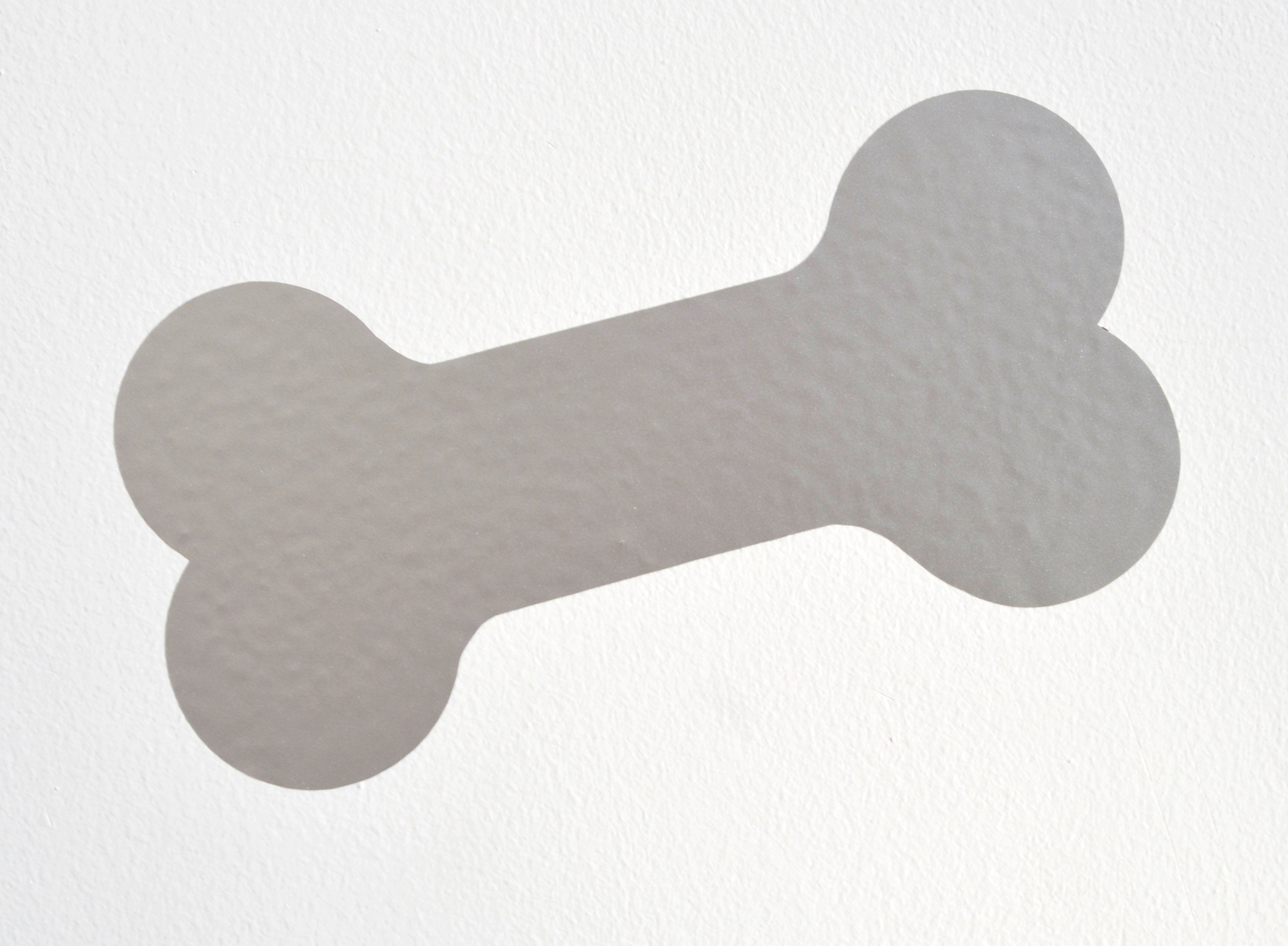 Bones / Dog Bone Wall Art Decals/stickers Various Colours & - Etsy UK