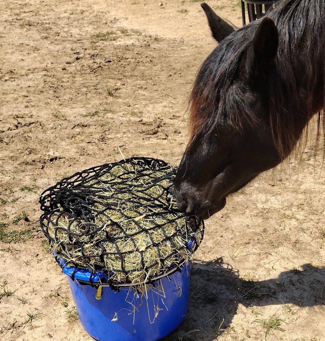 Slow Feed Hay Net for Muck Buckets: Soft Woven Netting, Mini Horse ...