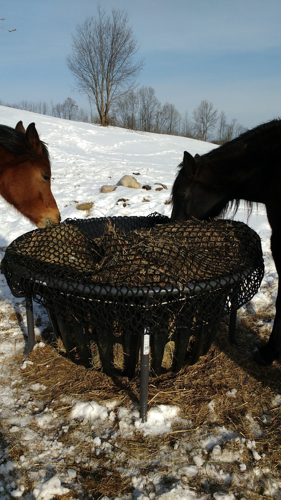 Slow Feed Hay Net for Over Your Hay Basket, Easy Fill. Soft Woven ...