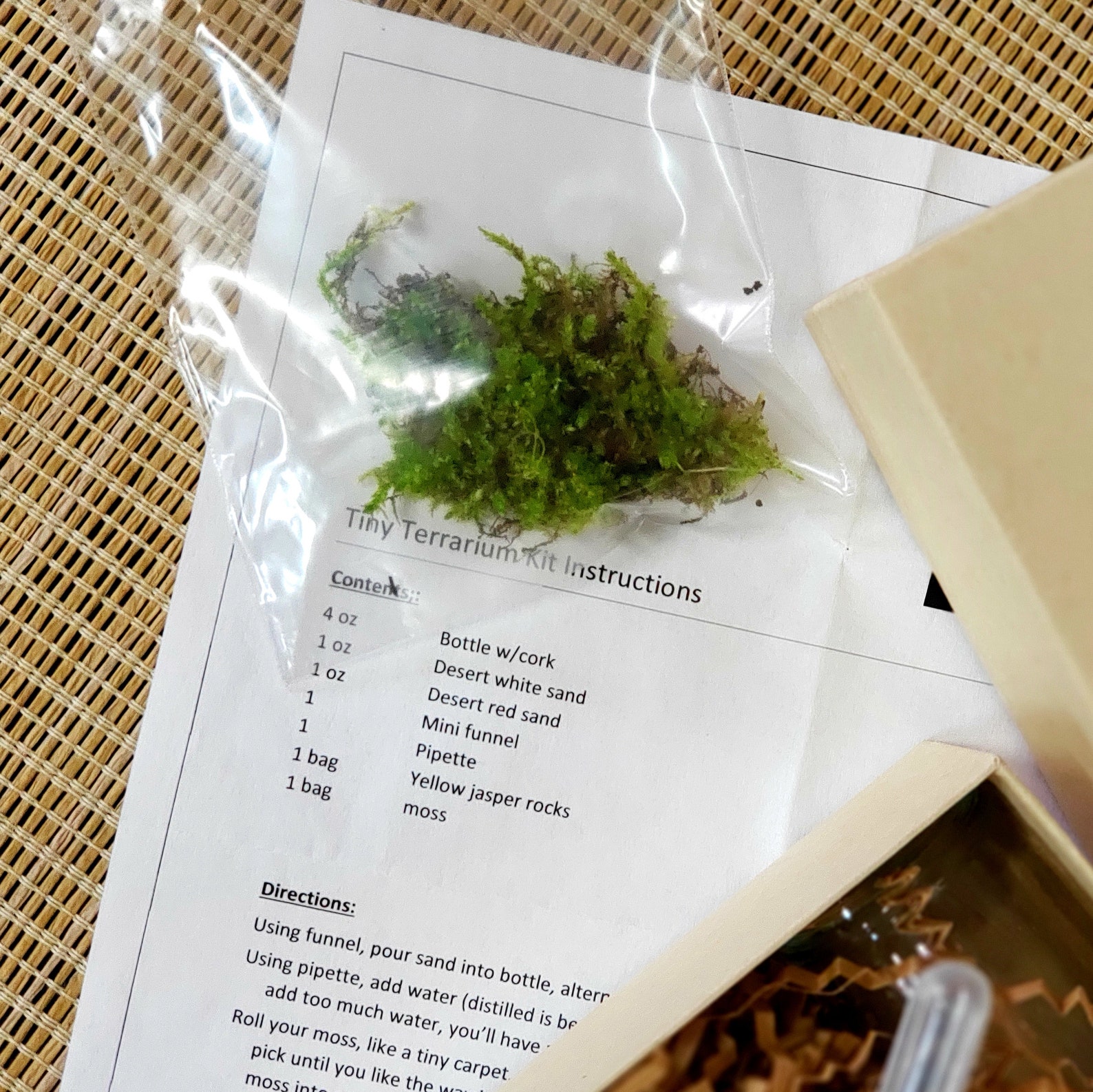 DIY Terrarium Kit From Boomdyada, Live Plant Mossarium, Self-sustaining ...