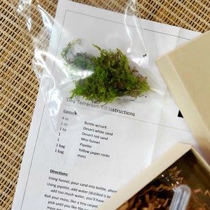 DIY Terrarium Kit From Boomdyada, Live Plant Mossarium, Self-sustaining ...