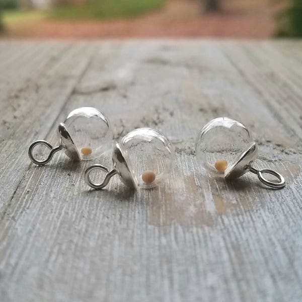 Mustard Seed Charm - Etsy