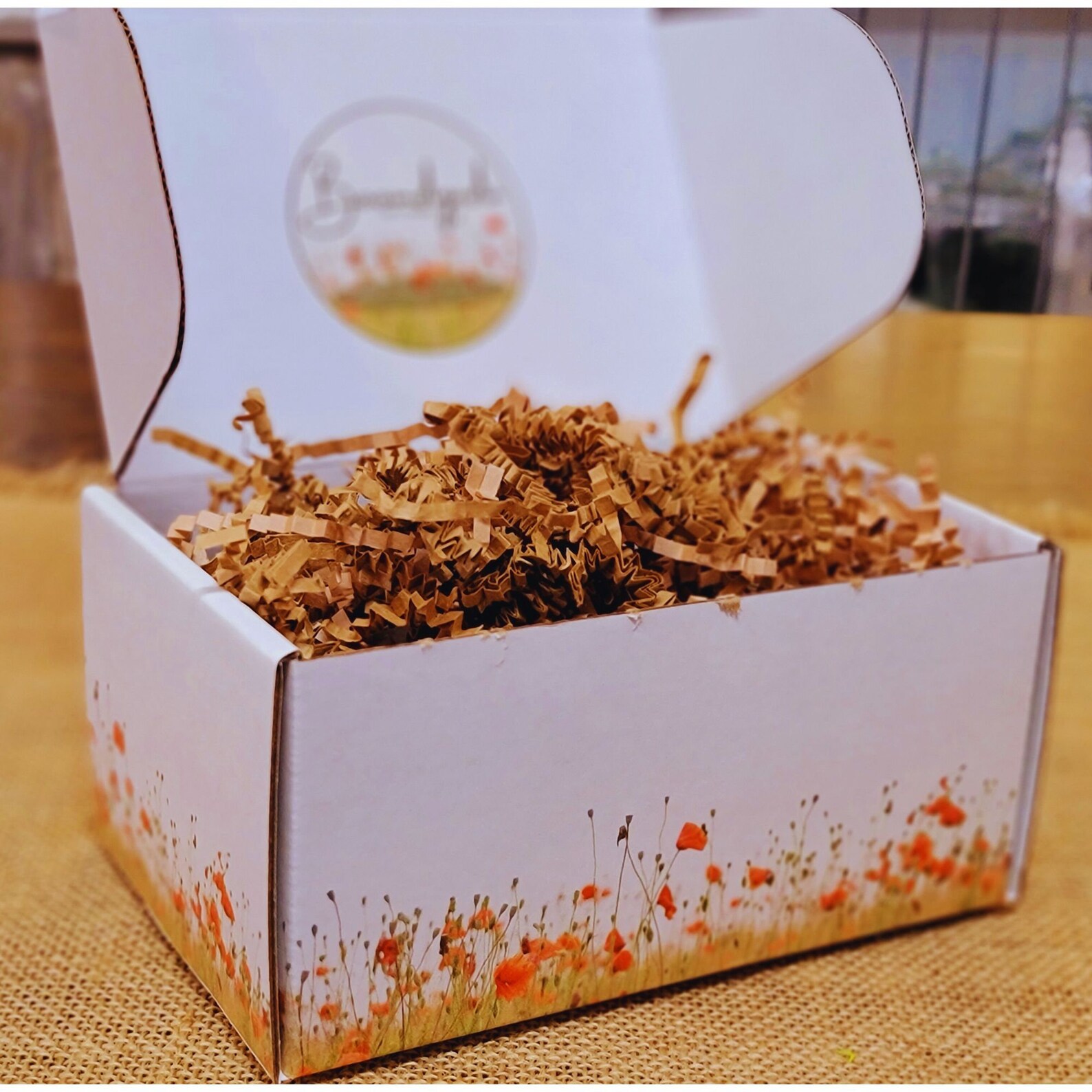 DIY Terrarium Kit From Boomdyada, Live Plant Mossarium, Self-sustaining ...