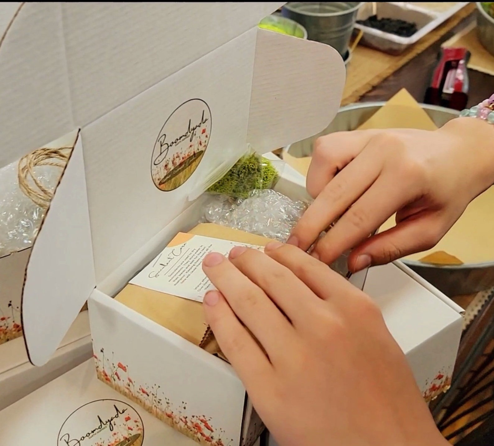 DIY Terrarium Kit From Boomdyada, Live Plant Mossarium, Self-sustaining ...