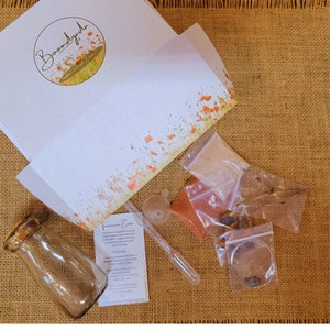 DIY Terrarium Kit From Boomdyada, Live Plant Mossarium, Self-sustaining ...