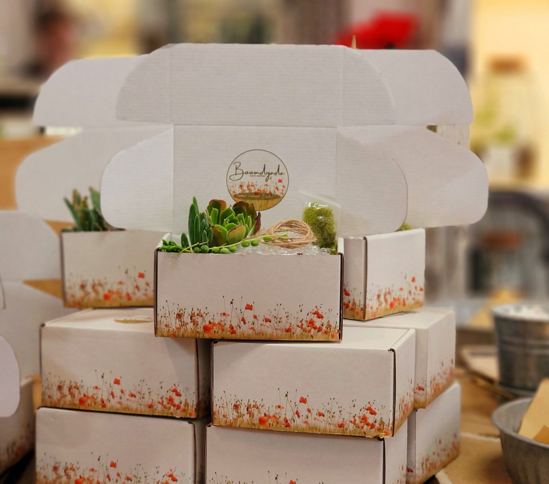 Succulent Cuttings, 1 Dozen in Pretty Gift Box. - Etsy