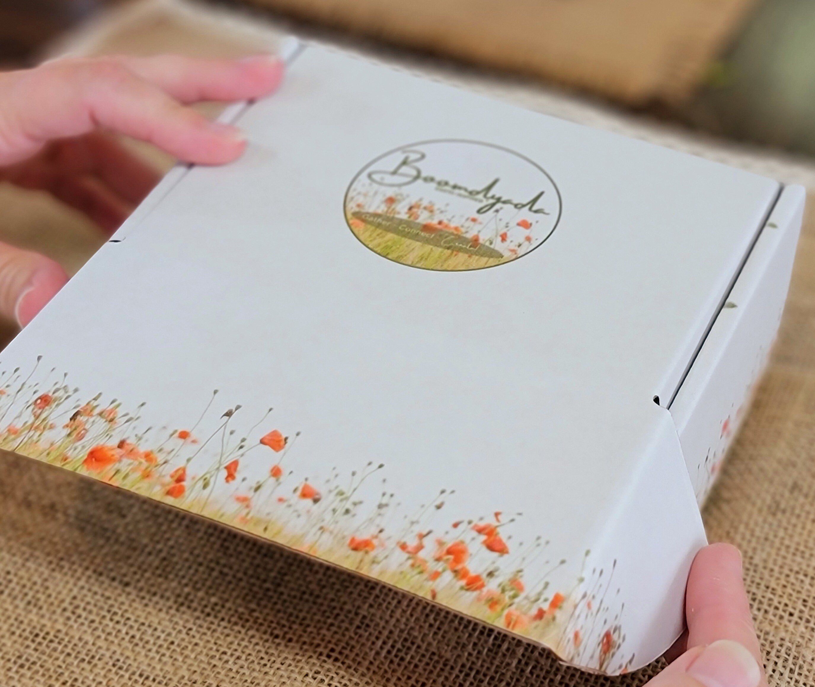 Large Live DIY Terrarium Kit by Boomdyada, Self-sustaining Sealed Mini ...