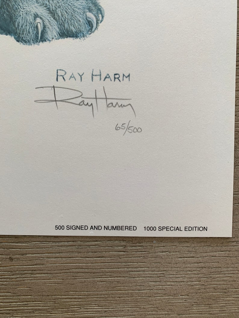 Ray Harm Art Print Cougar Signed and Numbered 65/500, 12" X 16" - Etsy