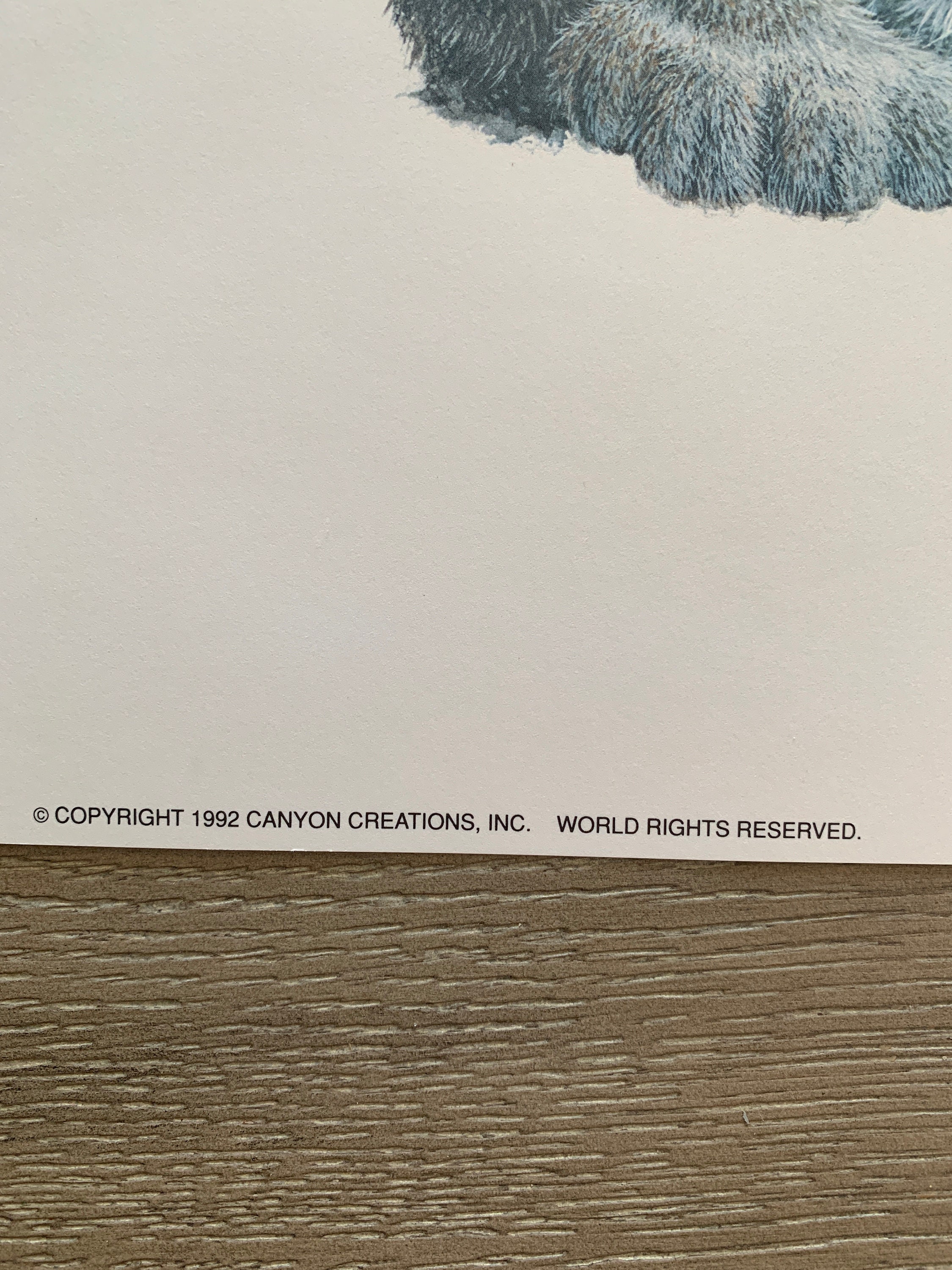 Ray Harm Art Print Cougar Signed and Numbered 65/500, 12" X 16" - Etsy