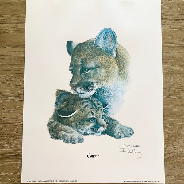 Ray Harm Wildlife - Etsy