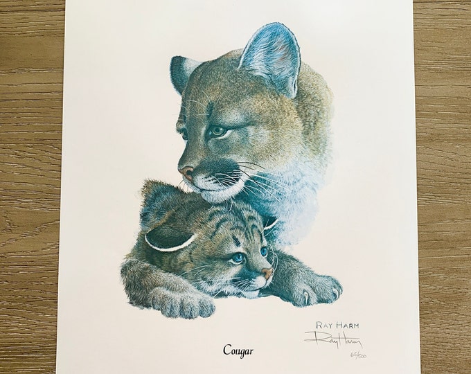 Ray Harm Art Print Cougar Signed and Numbered 65/500, 12" X 16" - Etsy