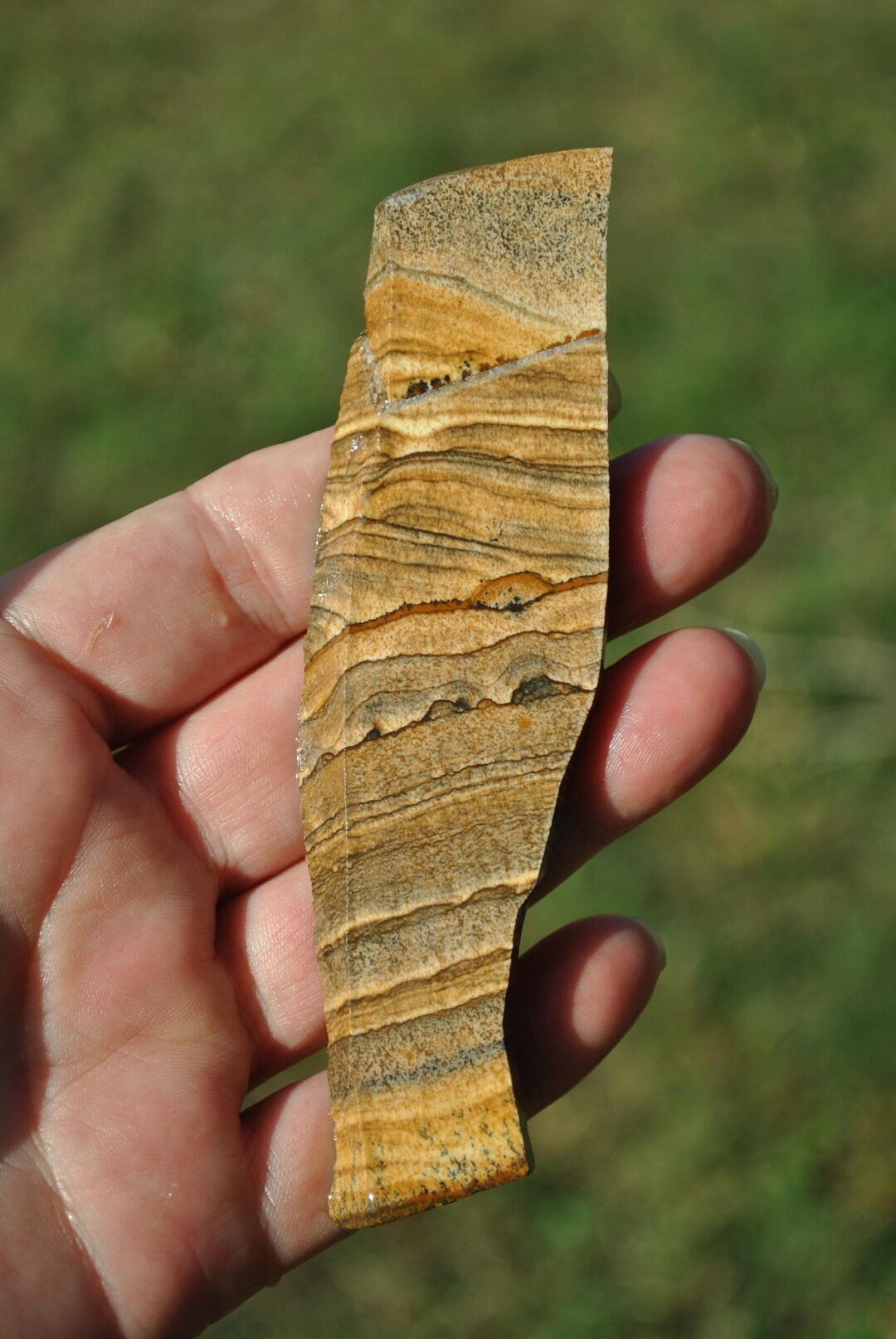 Small Desert Queen Picture Jasper Slab; Lapidary Stone; Cabbing Slab ...
