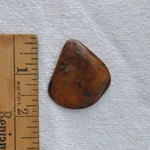 Coprolite Cabochon; Freeform Fossil Loose Stone; Dino Poop Cab; Wire ...