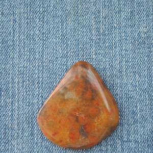 Coprolite Cabochon; Freeform Fossil Loose Stone; Dino Poop Cab; Wire ...