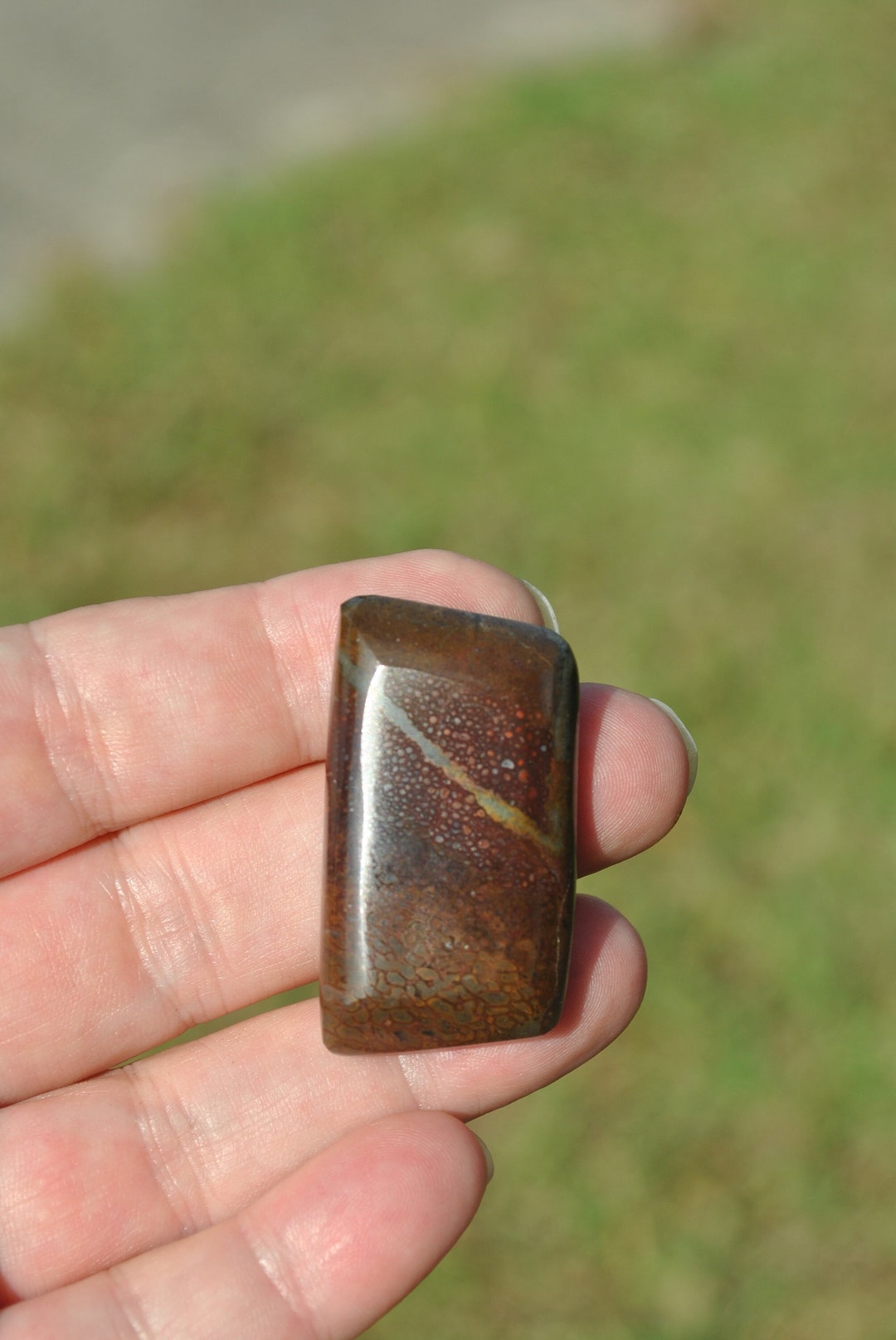 Polished Dinosaur Bone Cabochon; Gembone Cab; Wire Wrapping Stone ...