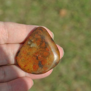 Coprolite Cabochon; Freeform Fossil Loose Stone; Dino Poop Cab; Wire ...
