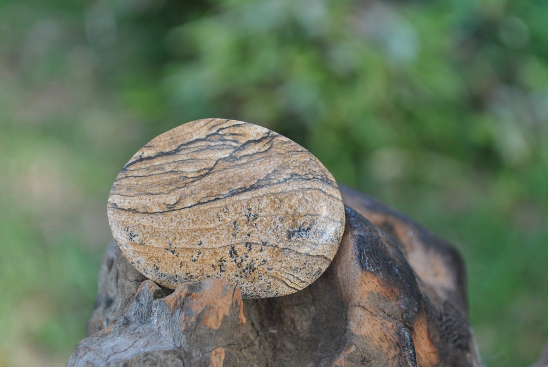 African Queen Jasper Freeform Cabochon; Picture Jasper Cabochon; Loose ...