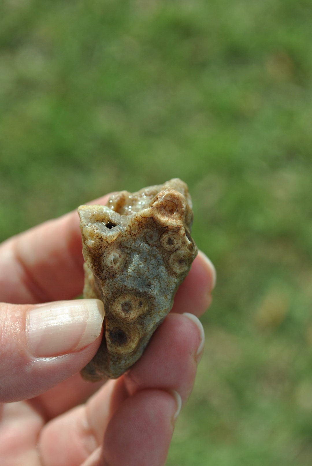 Rough Gobi Agate; Gobi Stone; Desert Stone With Funny Eyes; 3-d Eyes ...