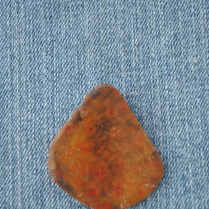 Coprolite Cabochon; Freeform Fossil Loose Stone; Dino Poop Cab; Wire ...