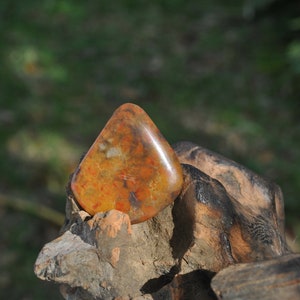 Coprolite Cabochon; Freeform Fossil Loose Stone; Dino Poop Cab; Wire ...