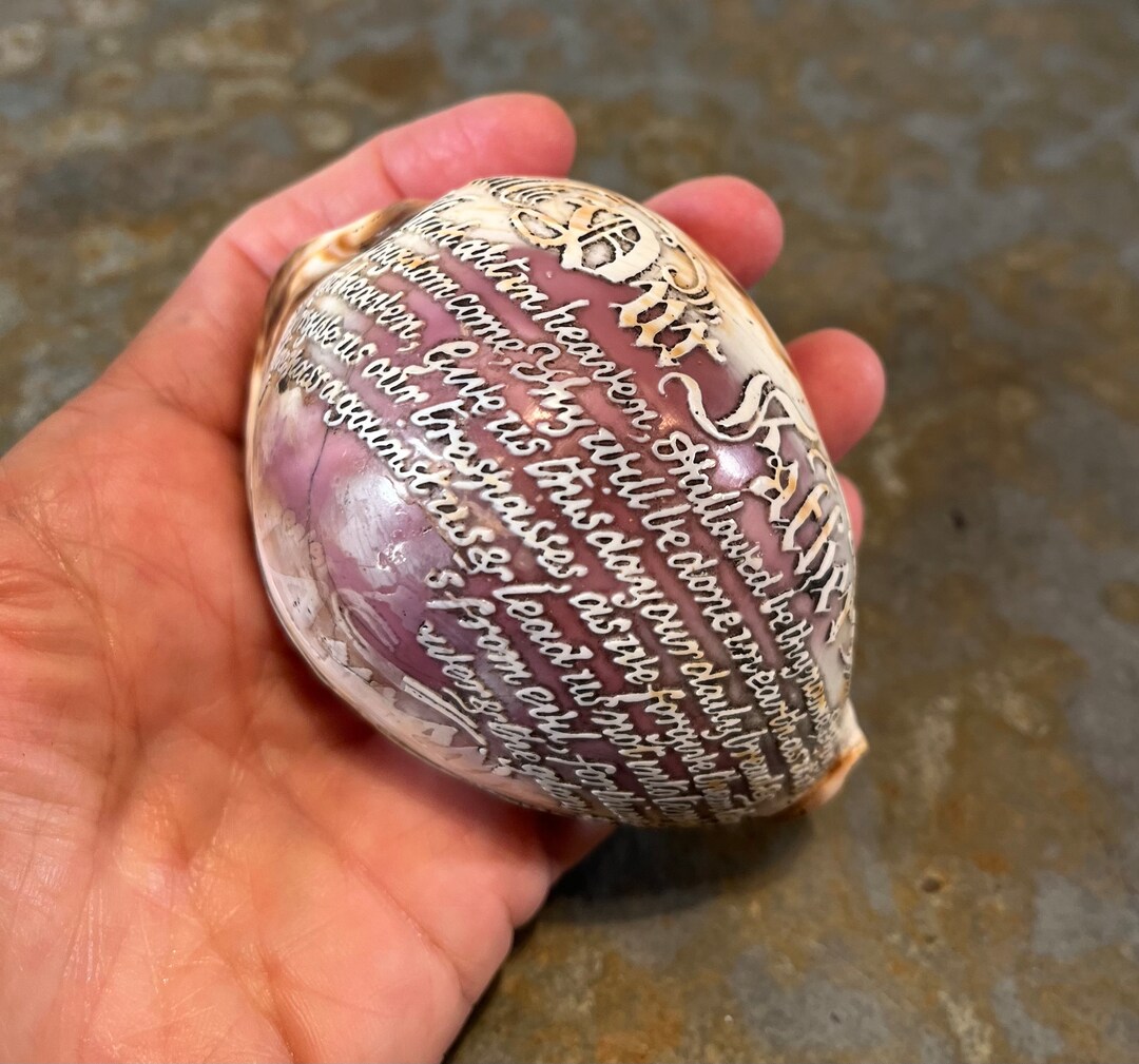 Victorian Grand Tour Carved Cowrie Shell Lords Prayer Lords Prayer - Etsy