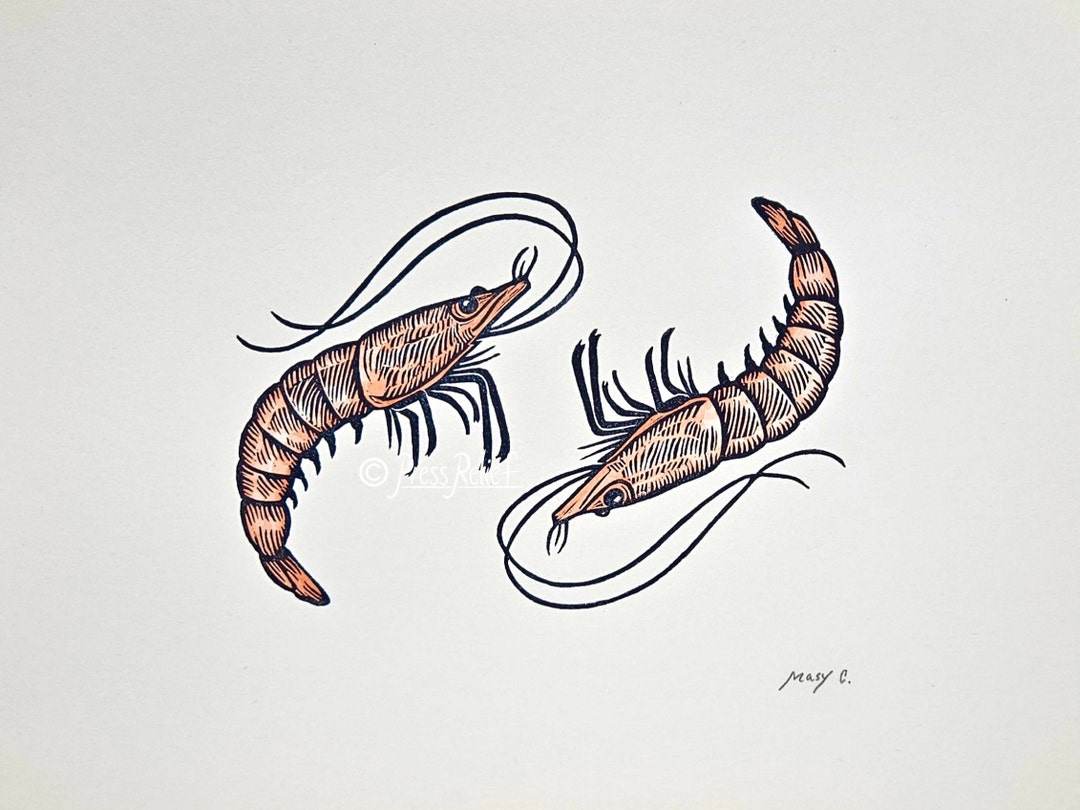 Shrimp Original Block Print Kitchen Decor Food Illustration - Etsy