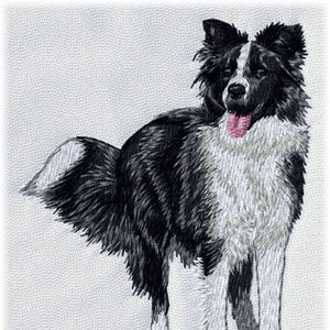 Border Collie Embroidered Patch 3.7" Tall - Etsy