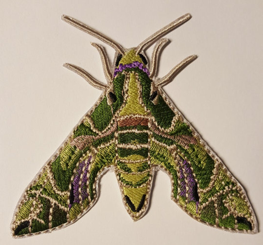 Oleander Hawk Moth Butterfly Bugs, Embroidered Patches 3.8" X 3.9" Iron ...
