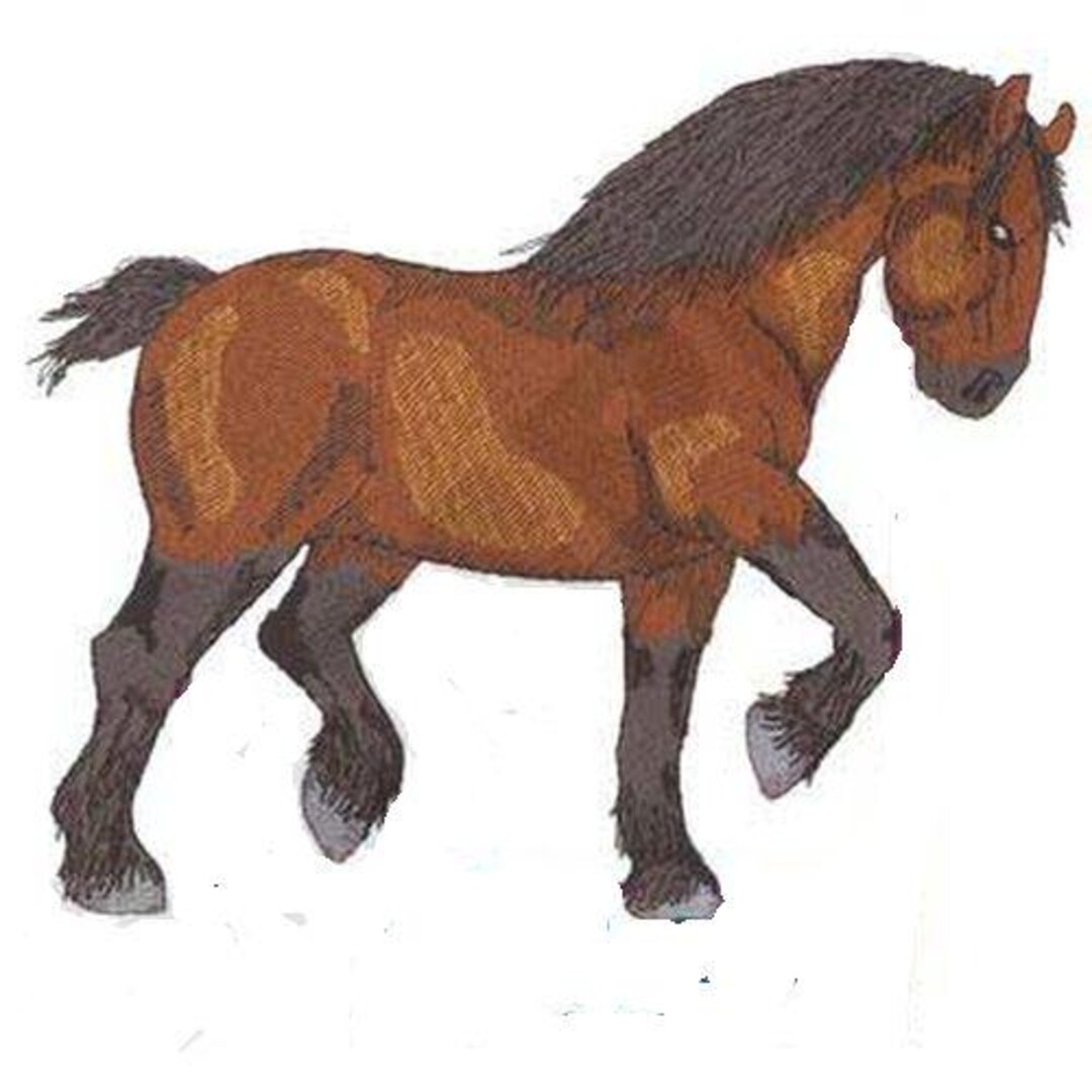 Belgian Draft Horse Embroidered Patch 6.5" Iron on or Sew On - Etsy