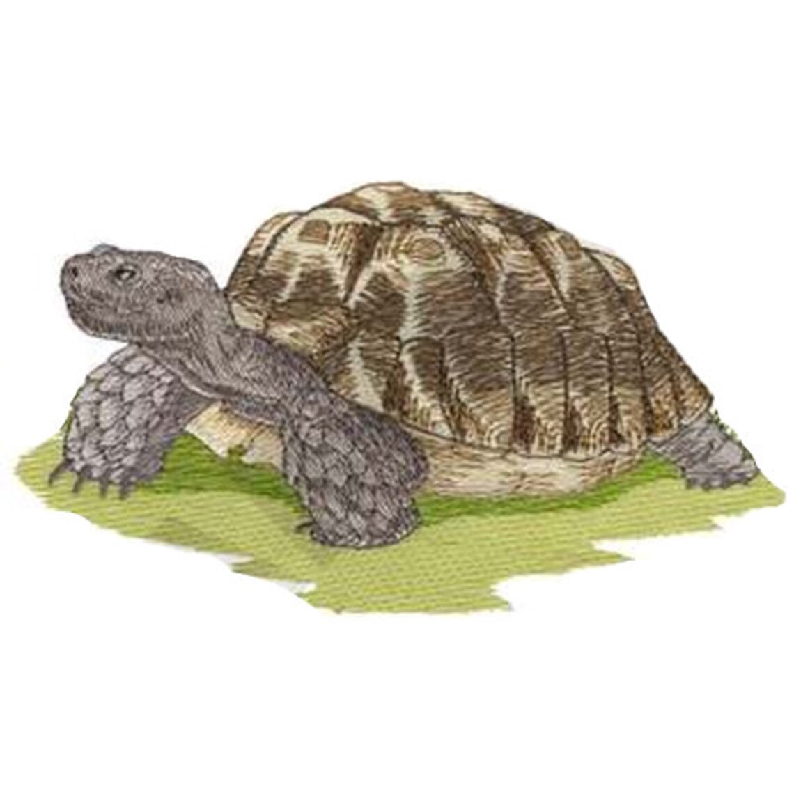 Tortoise Turtle 885 Embroidered Patch 6.9 x 3.8 | Etsy