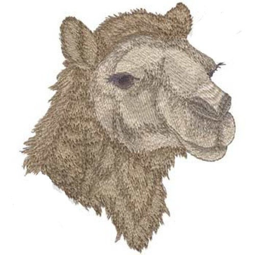 Camel Head Embroidered Patch 5" X 5.5" Iron on or Sew On - Etsy