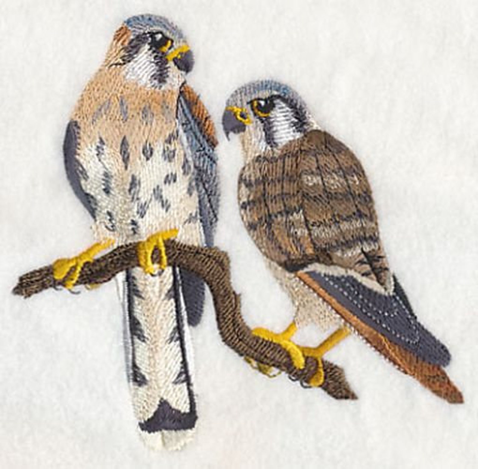 American Kestrel Falcon, Falconry, Falconer, Birds of Prey, Embroidered ...