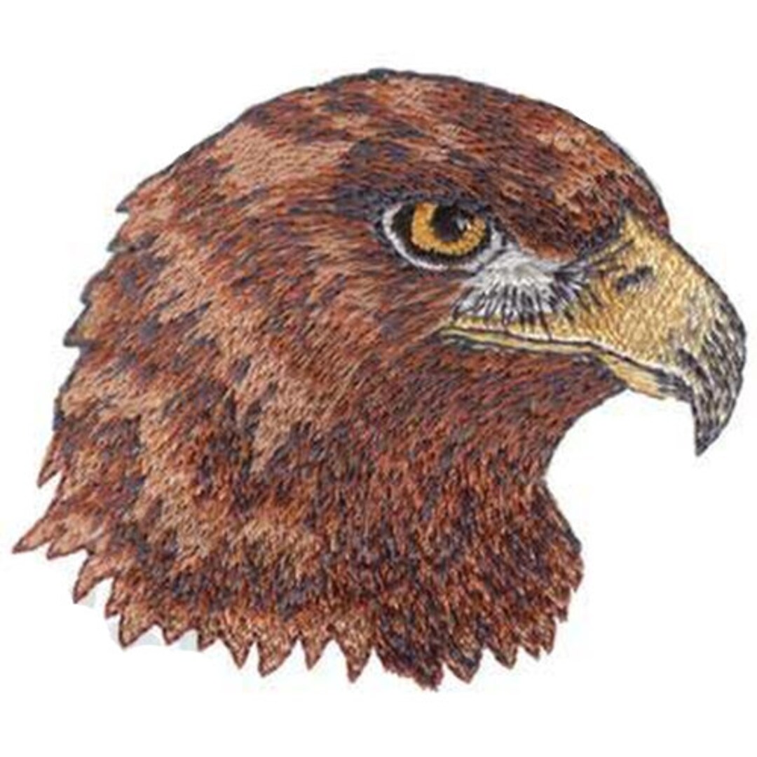 Golden Eagles Embroidered Patch - Etsy