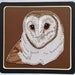 Barn Owl, Birds of Prey, Embroidered Patch 5.7" X7.1" - Etsy