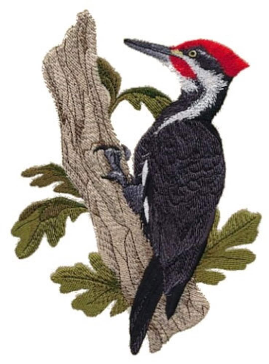 Pileated Woodpecker Embroidered Patch - Etsy