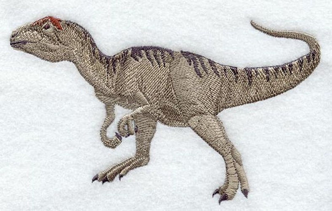 Dinosaur Allosaurus Embroidered Patch 2 Sizes Iron on or Sew On - Etsy