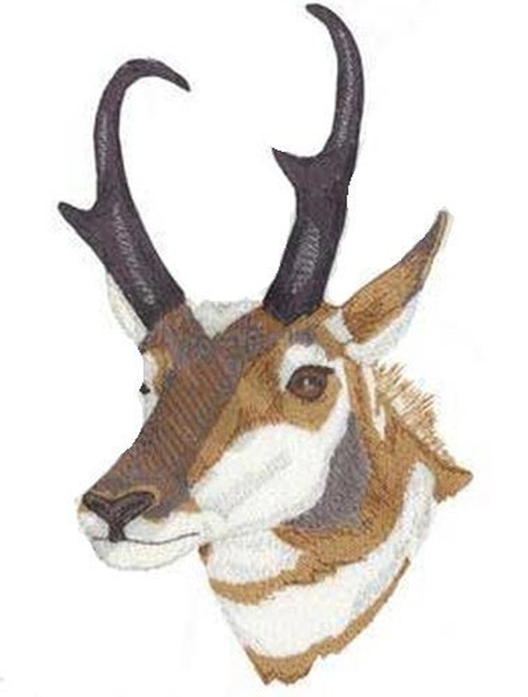 Pronghorn Antelope Embroidered Patch Comes in 2 Sizes - Etsy