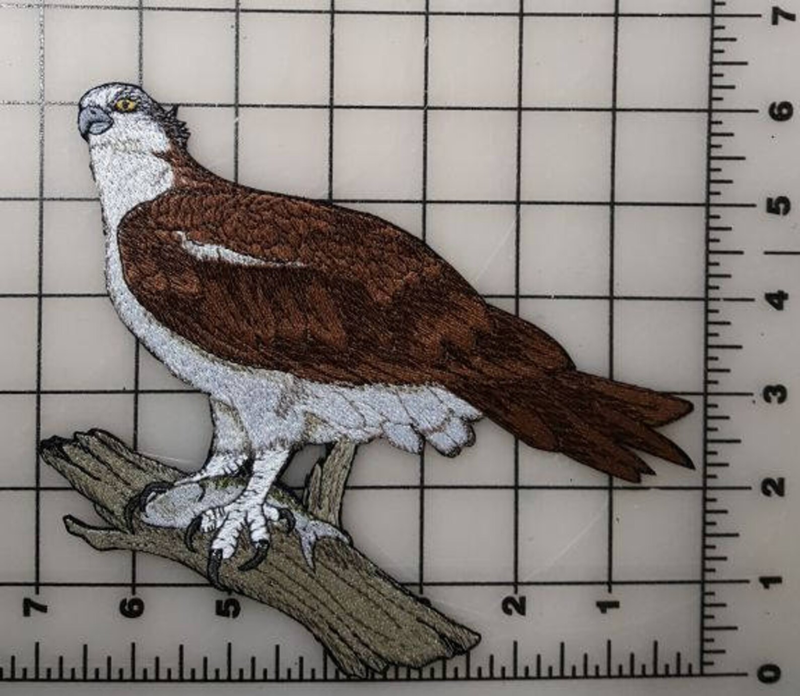 Osprey With Fish, River Hawk, Fish Eagle, Sea Hawk Embroidered Patch ...