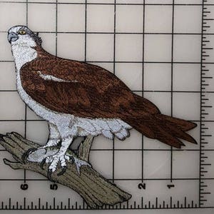 Osprey With Fish, River Hawk, Fish Eagle, Sea Hawk Embroidered Patch ...