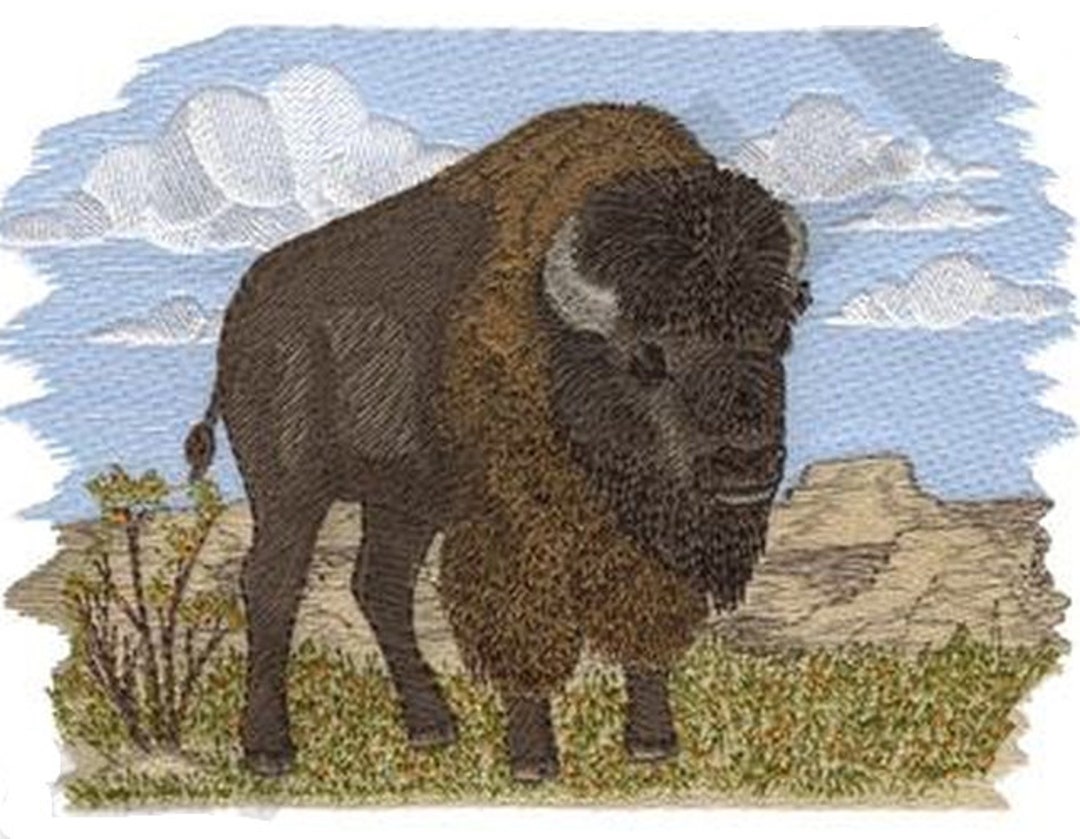 Bison Scene 639 7"x5" Embroidered Patch - Etsy