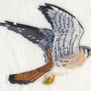 American Kestrel Falcon, Falconry, Falconer, Birds of Prey, Embroidered ...