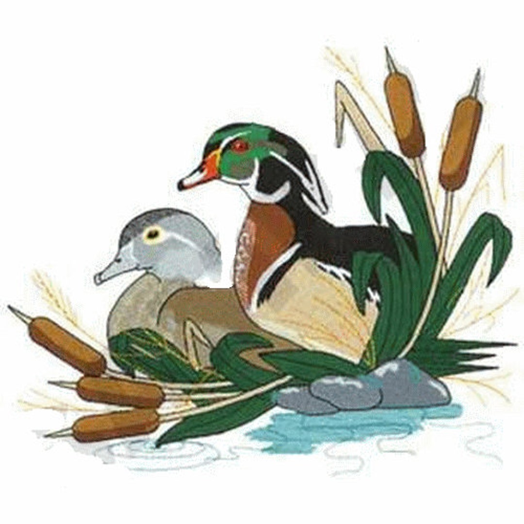 Wood Duck Pair Embroidered Patch 9.5" X 8" - Etsy