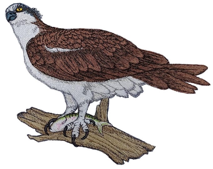 CV-22 Osprey Small Patch - Etsy