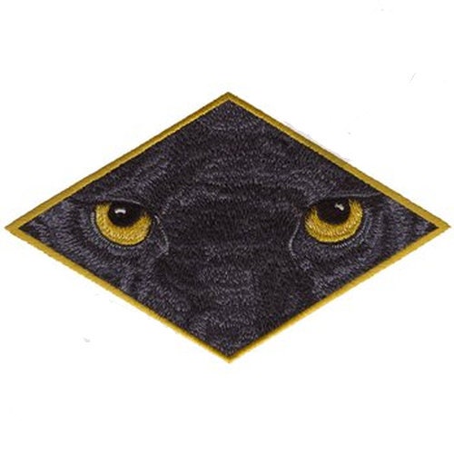 Panther Eyes Embroidered Patch 7" X 4.5" Iron on or Sew On - Etsy