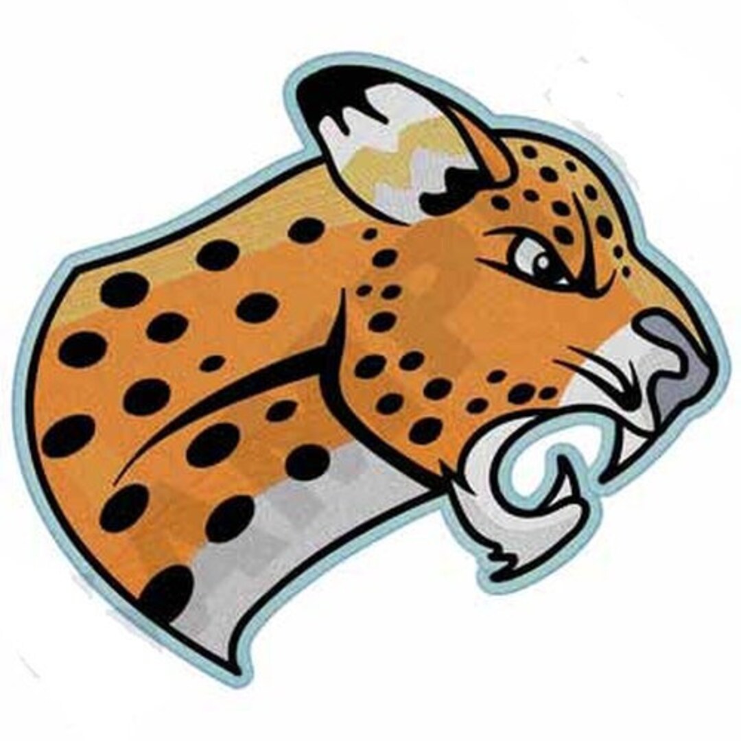 Cheetah Sports Mascot Embroidered Patch 7" X 6" Iron on or Sew On - Etsy